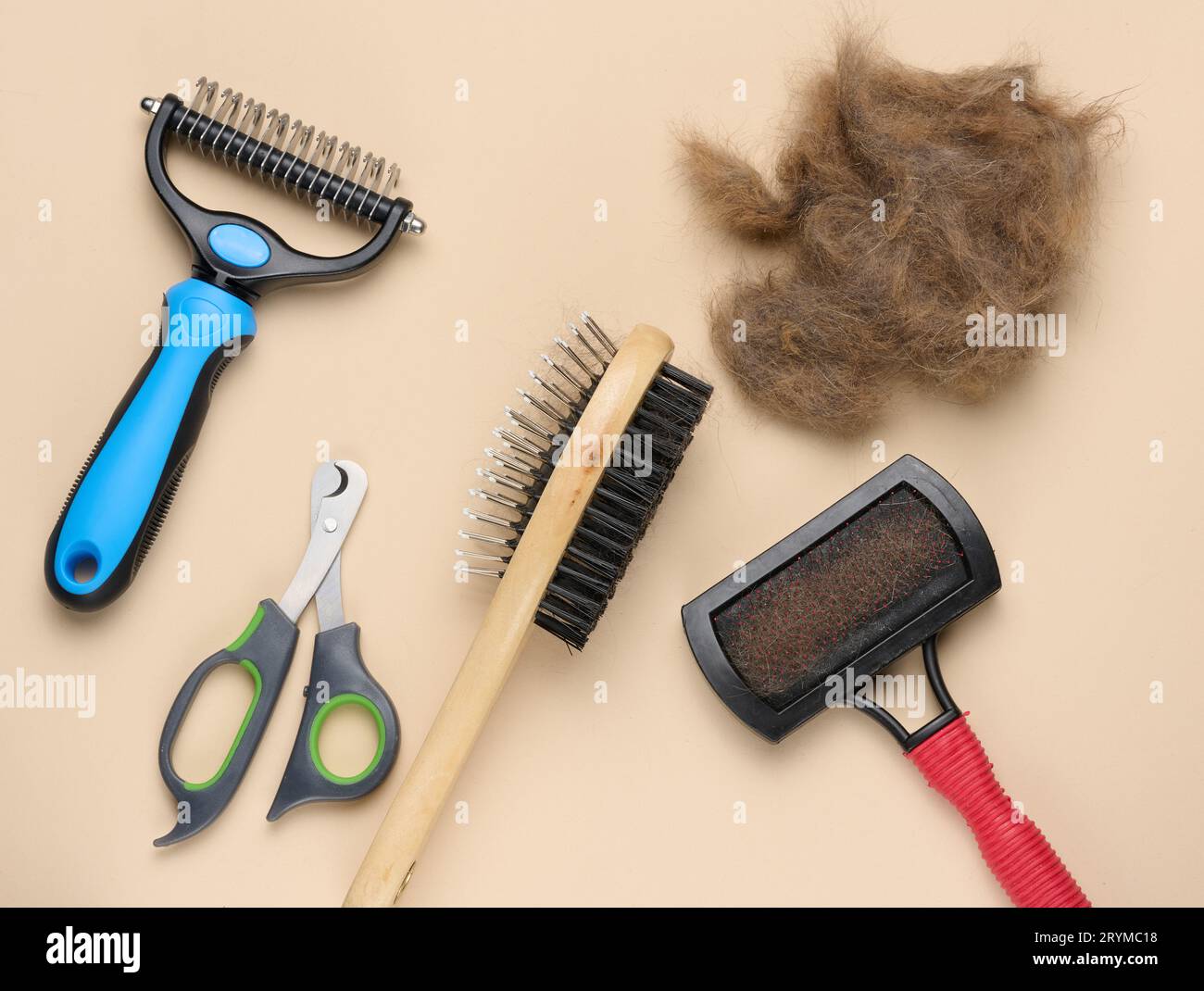 Animal trimmer and a tuft of gray wool on a blue background, top view ...