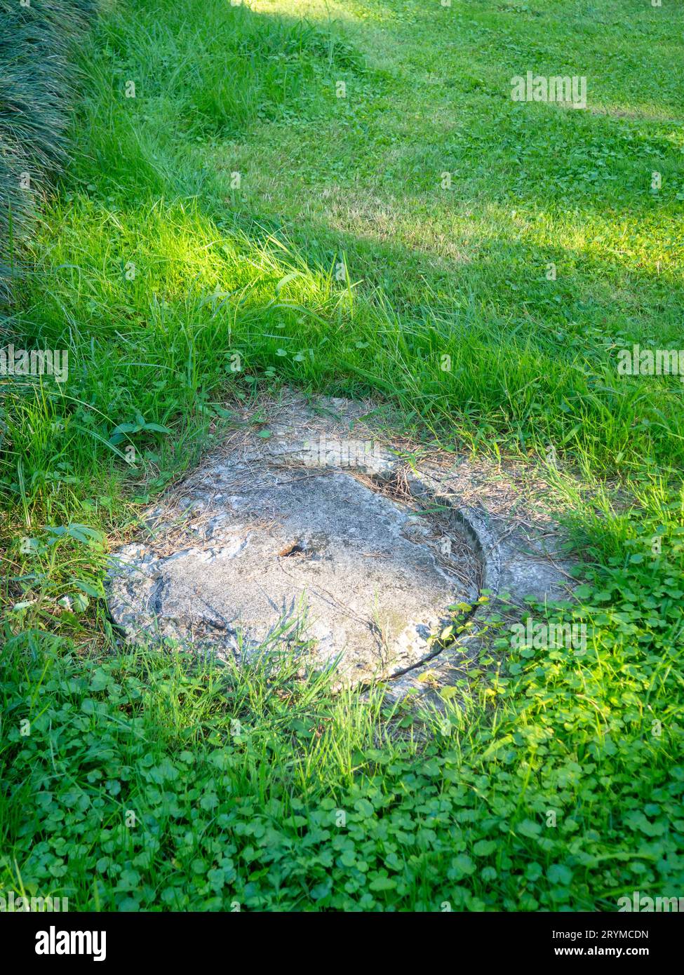 Stone sewer manhole next to the grass. Entrance to underground ...