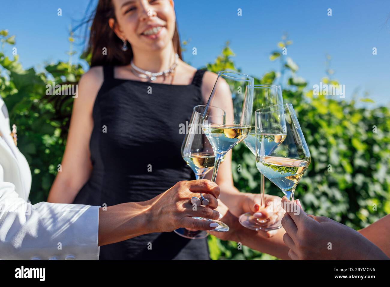 Making a celebratory toast with sparkling wine. Female hands holding ...