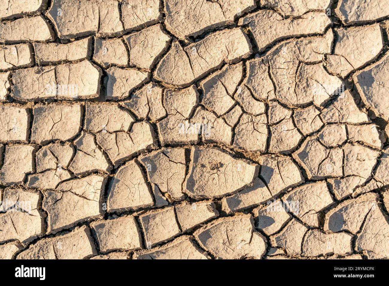 Areas of texture hi-res stock photography and images - Alamy