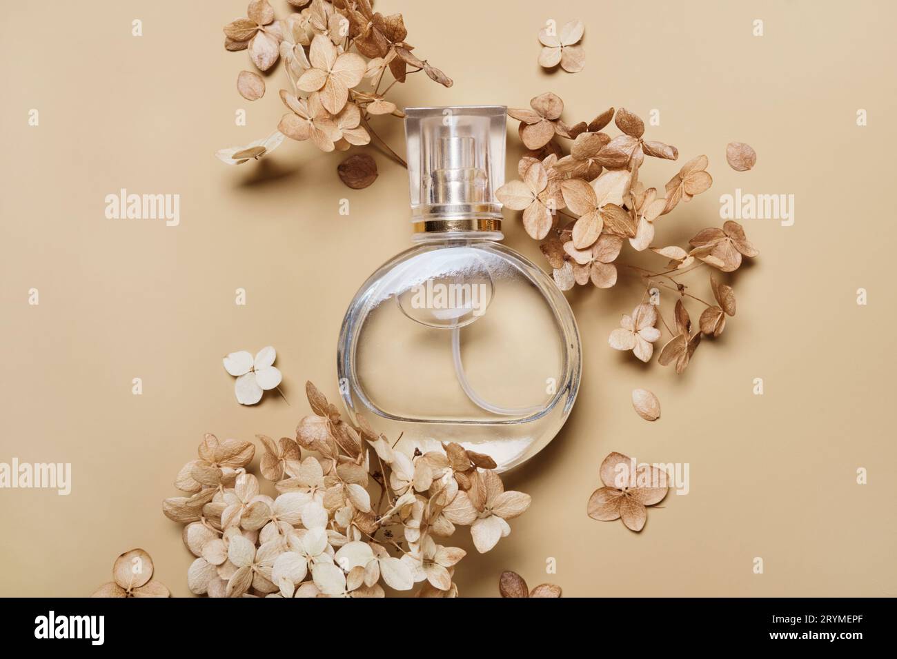 Bottle of Female perfume and dry flower arrangement on beige background ...