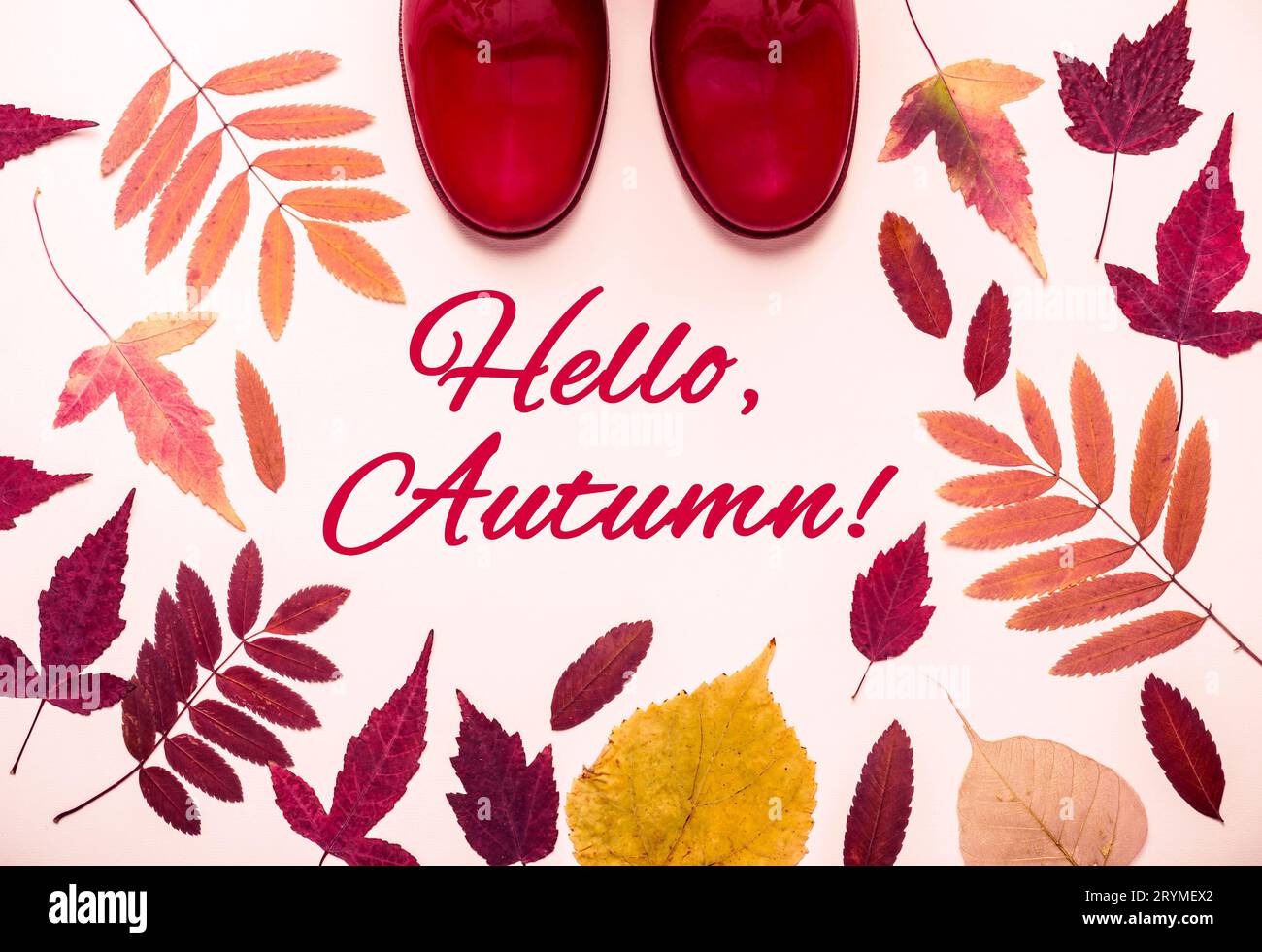 Multicolored autumn leaves frame and red rubber boots. Hello, Autumn ...