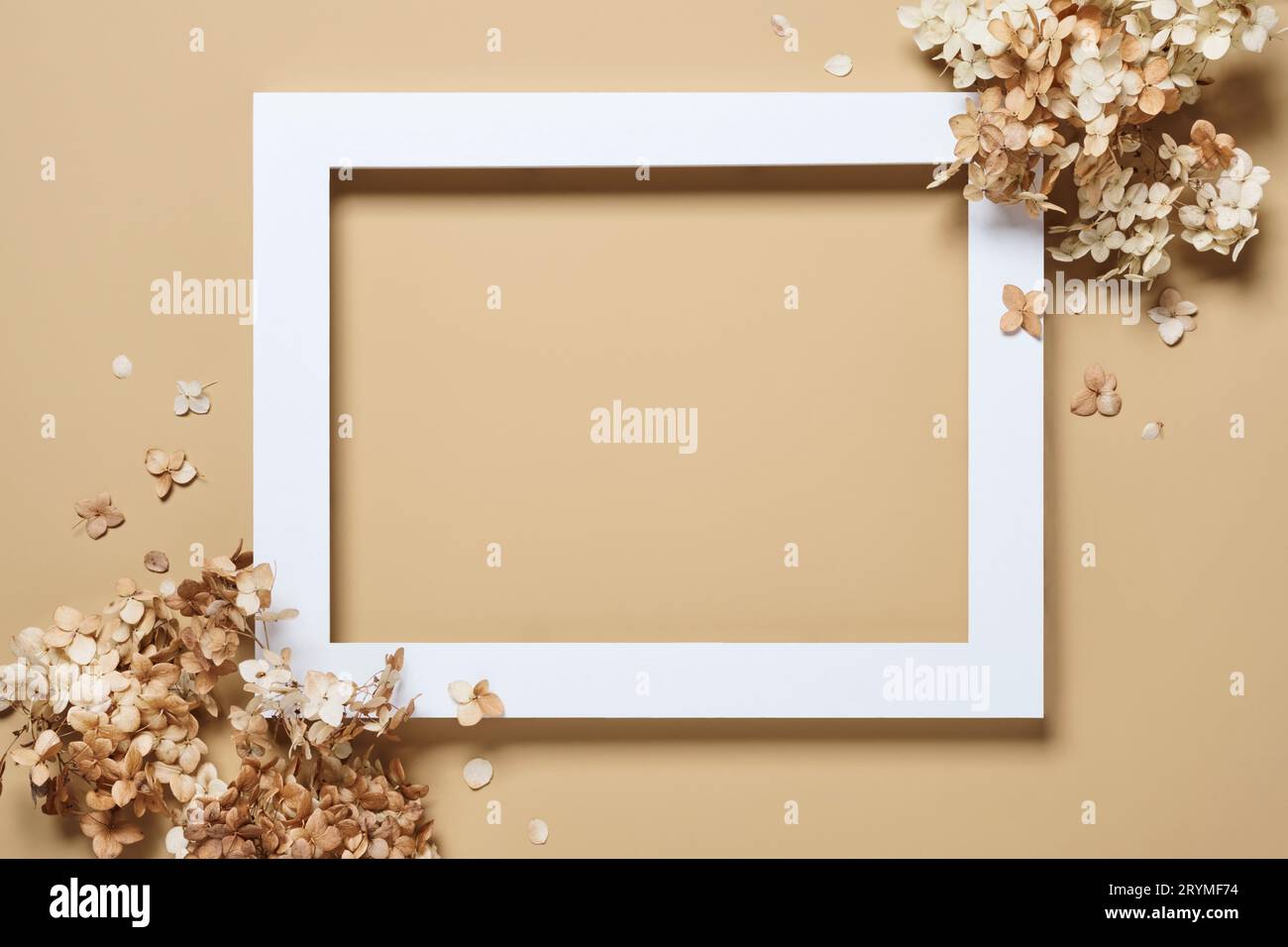 White paper frame and beautiful dry flowers on beige background ...
