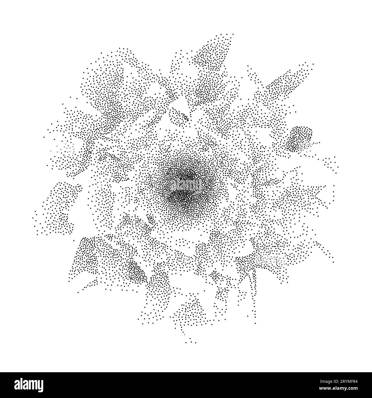 Black dotted rose flower form. Textured plant petal element for leaflet ...