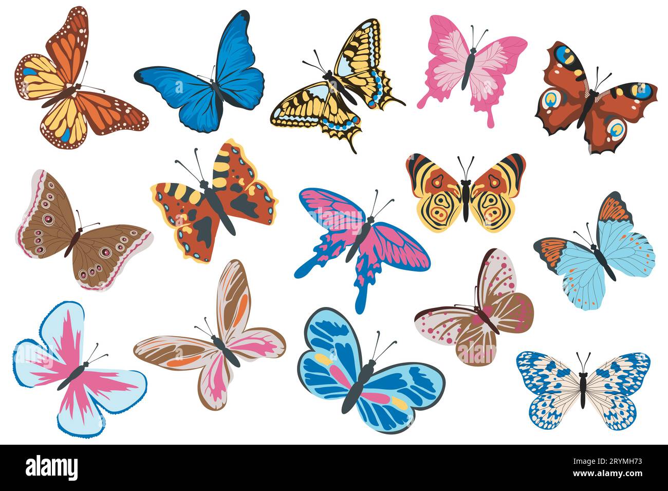 Different types butterflies Cut Out Stock Images & Pictures - Alamy