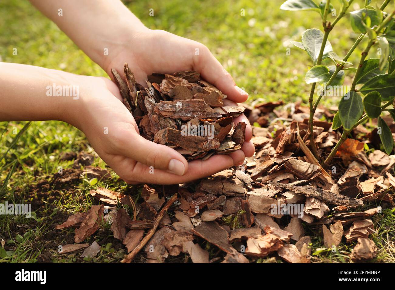 Mulching garden ecology hi-res stock photography and images - Alamy
