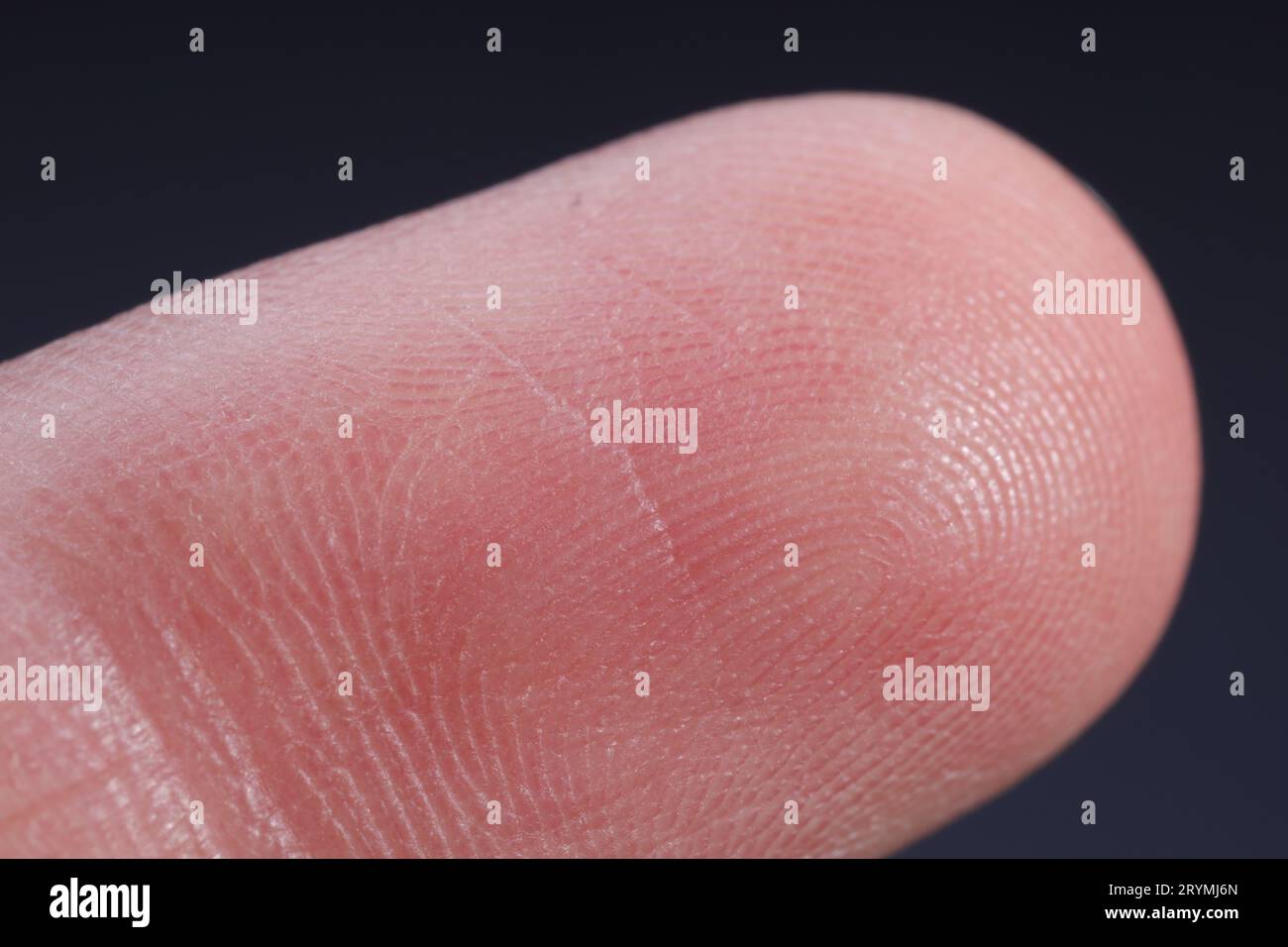 Finger with friction ridges on dark background, macro view Stock Photo ...