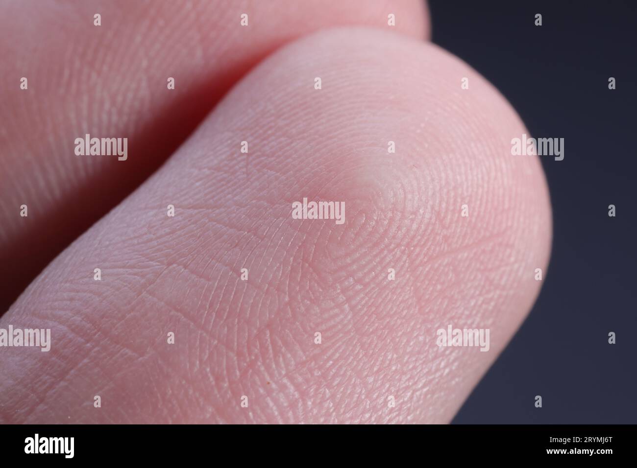 Macro view of finger with friction ridges Stock Photo - Alamy