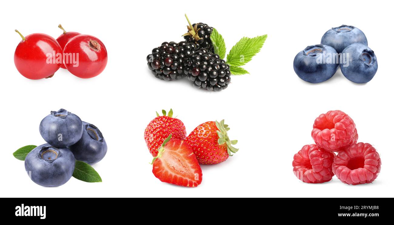 Fresh blueberries and other berries isolated on white, set Stock Photo ...