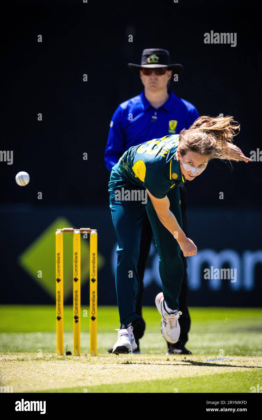 Darcie brown hi-res stock photography and images - Alamy