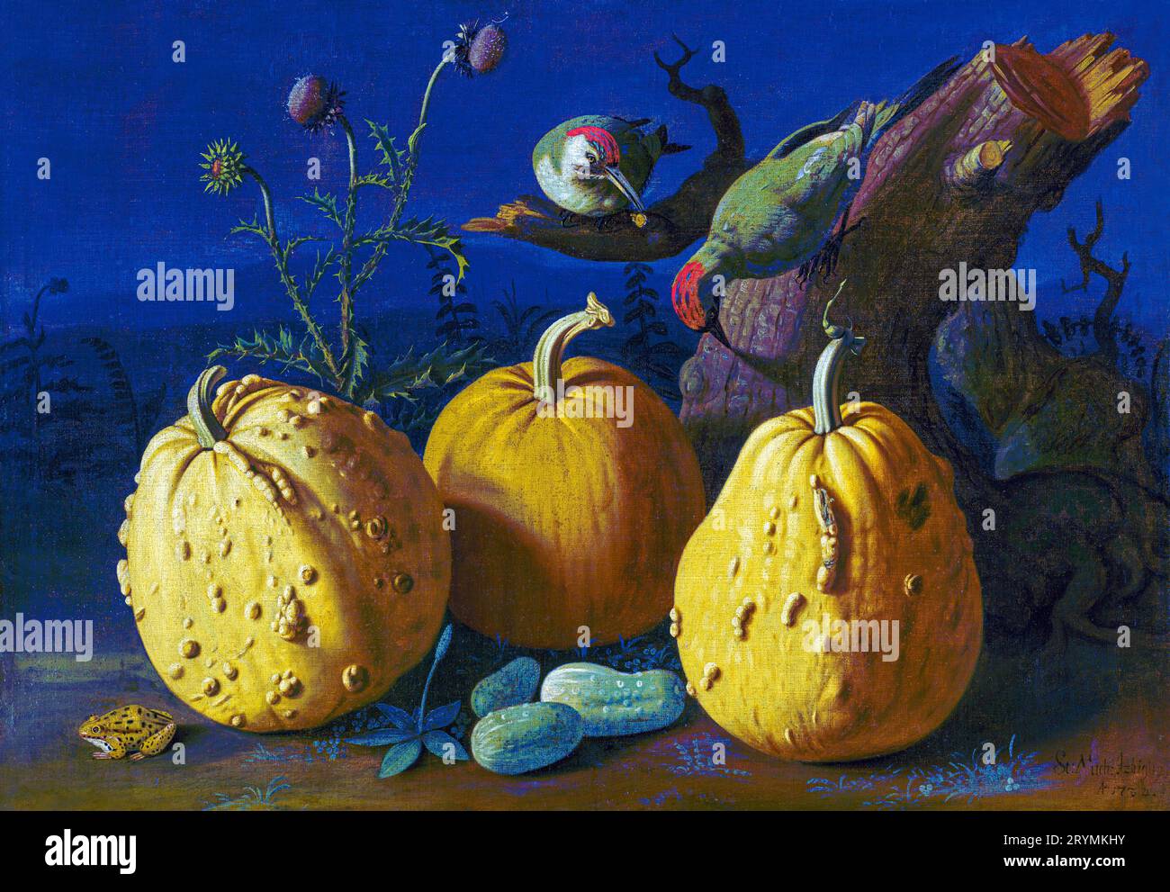 Still life with pumpkins and cucumbers Stock Photo - Alamy