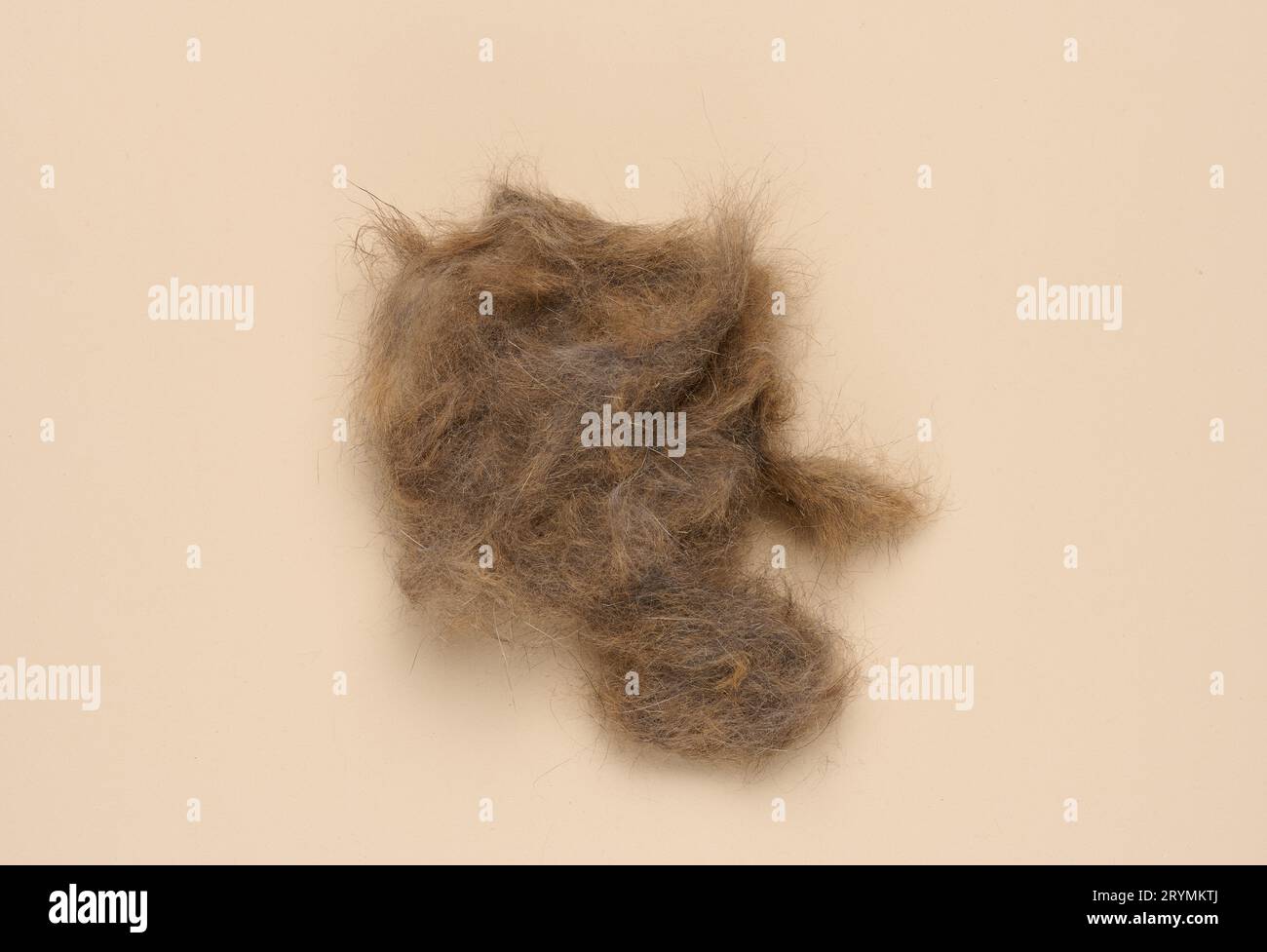Tuft of hair hi-res stock photography and images - Alamy