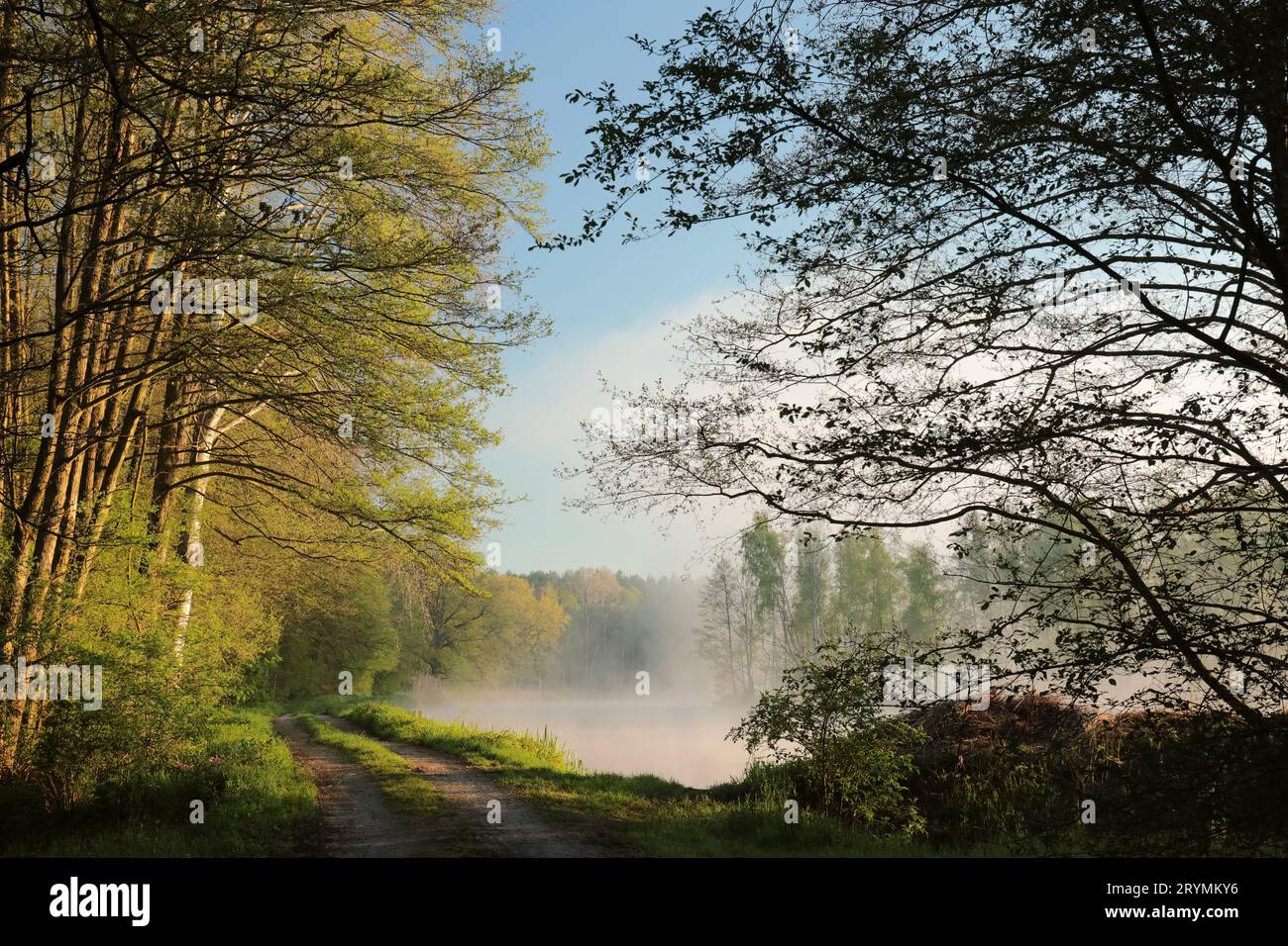 Edge of the pond hi-res stock photography and images - Alamy