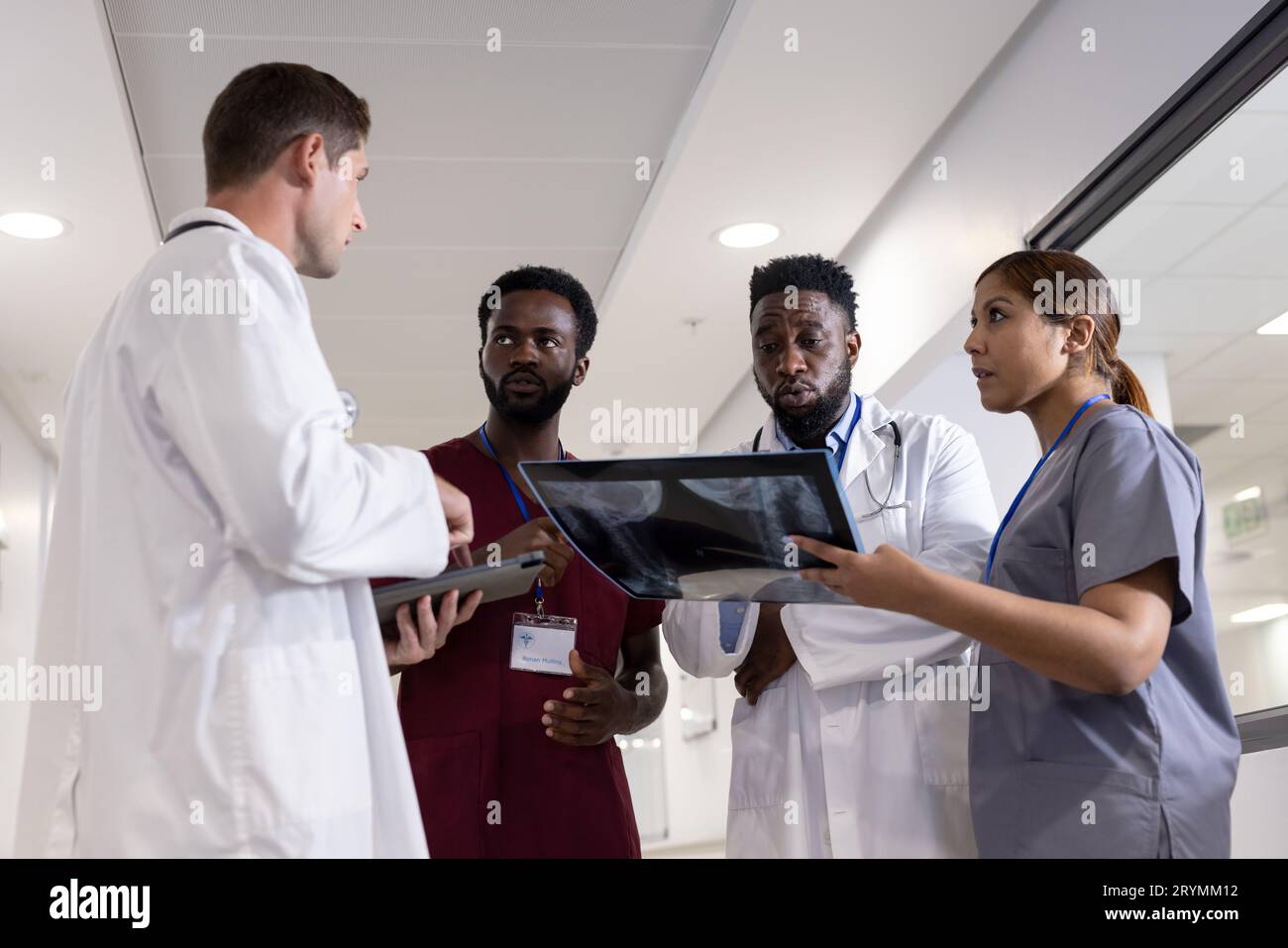 Unaltered portrait of four serious diverse doctors with table, x ray ...