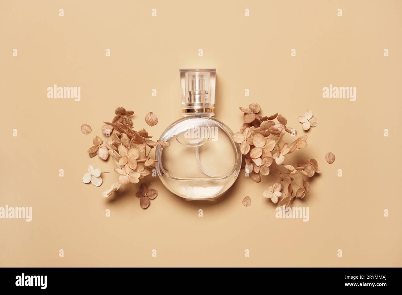 Round perfume bottle hi-res stock photography and images - Alamy