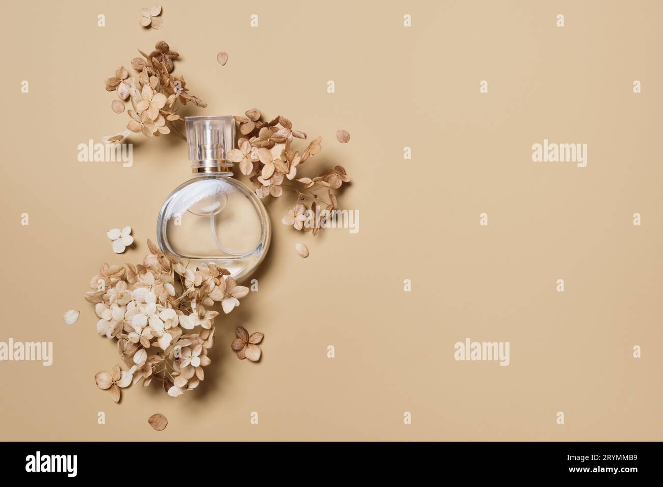 Round Perfume bottle mockup and dry hydrangea flowers on beige ...