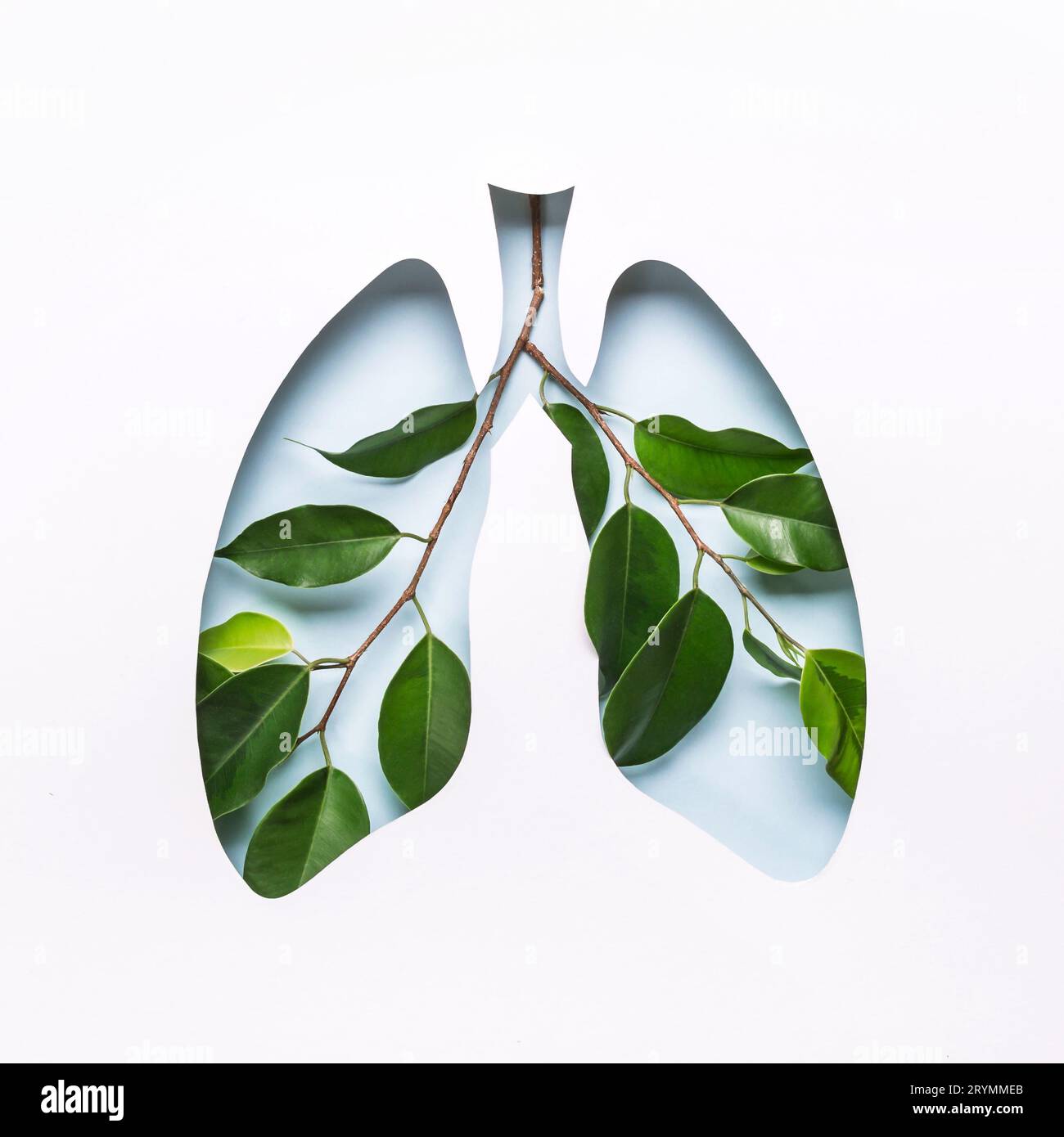 Blue Hole Lungs and green twigs as symbol of healthy lungs. World ...