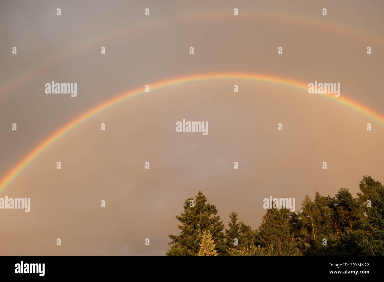 Double during an hi-res stock photography and images - Alamy