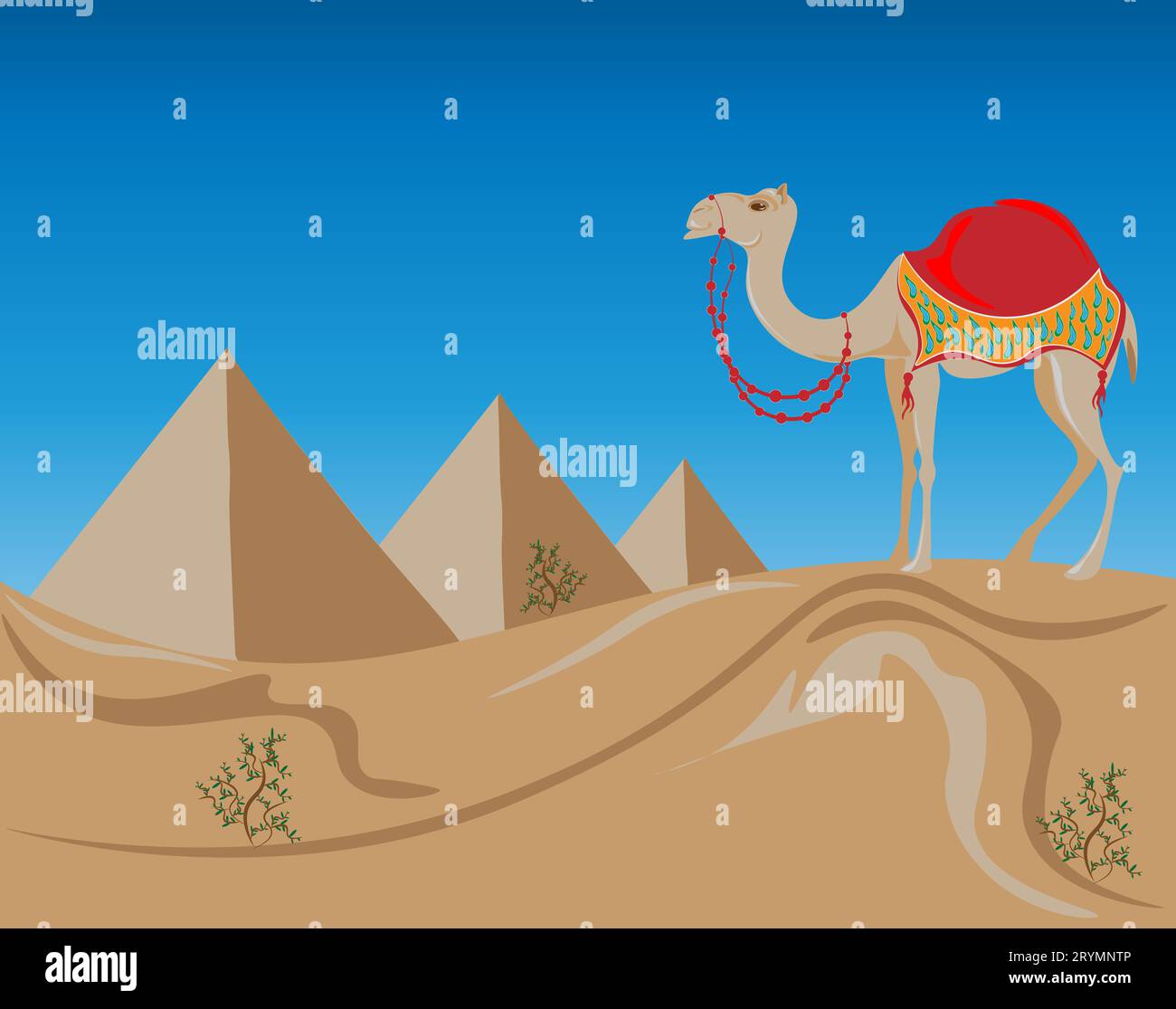 a cute camel on the background of the three pyramids of Egypt. Journey ...