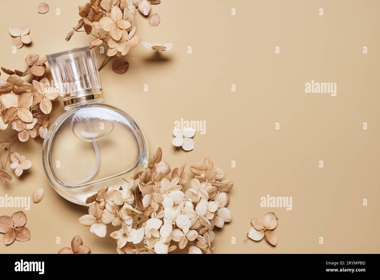 Round Perfume bottle mockup and dry hydrangea flowers on beige ...