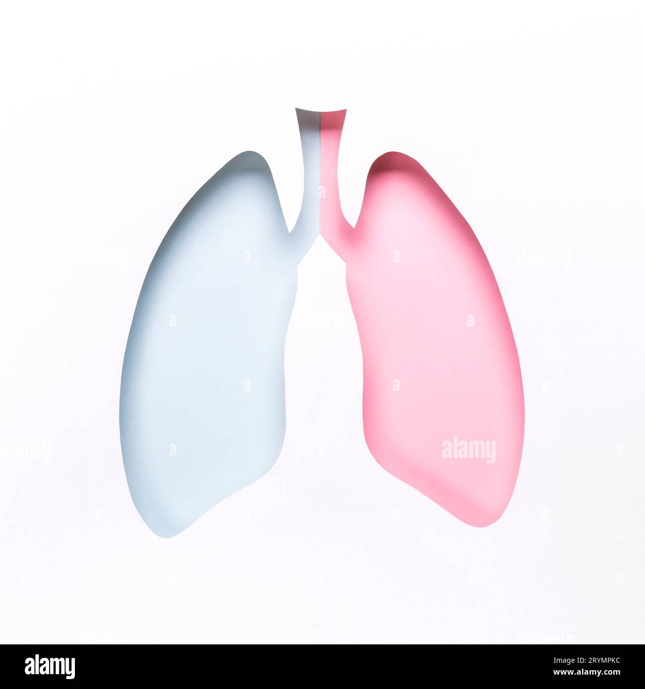 Hole Lungs as symbol of healthy and sick lungs. World Tuberculosis Day ...
