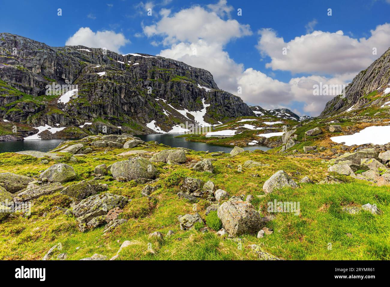 Boulders in meadow hi-res stock photography and images - Alamy
