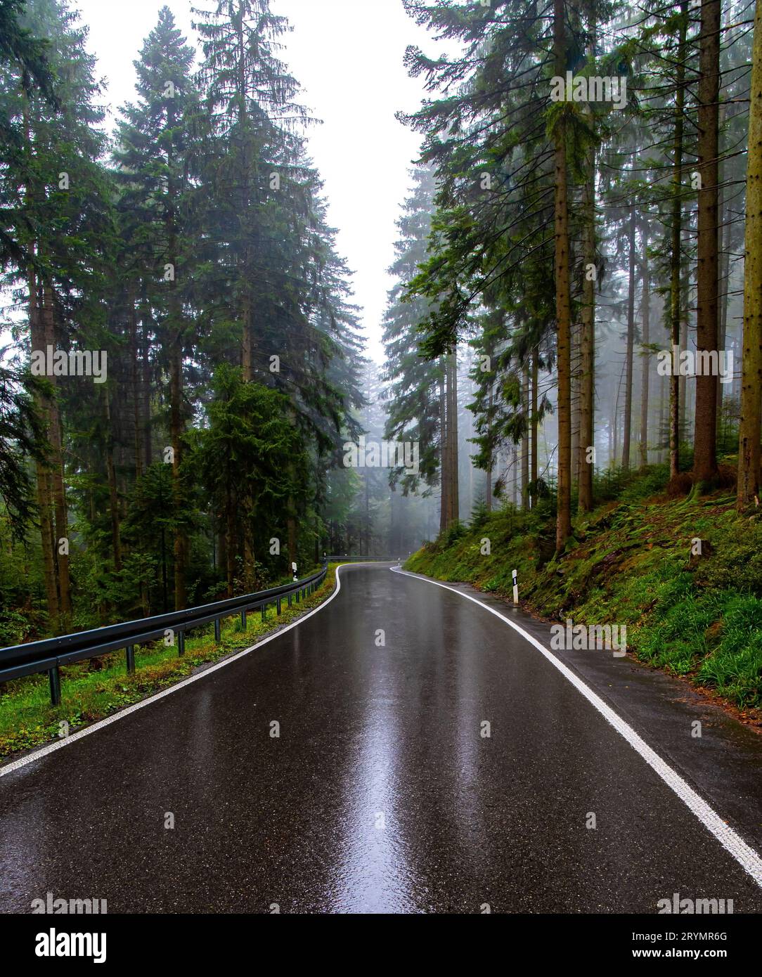 The first autumn rain Stock Photo - Alamy