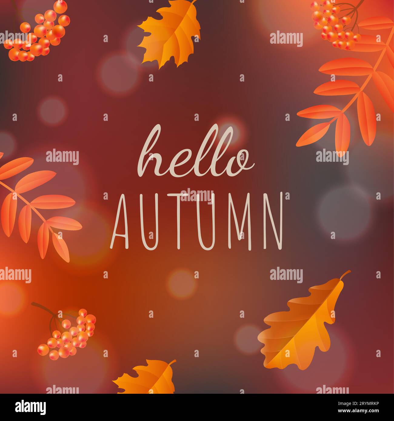 Nut maple Stock Vector Images - Alamy