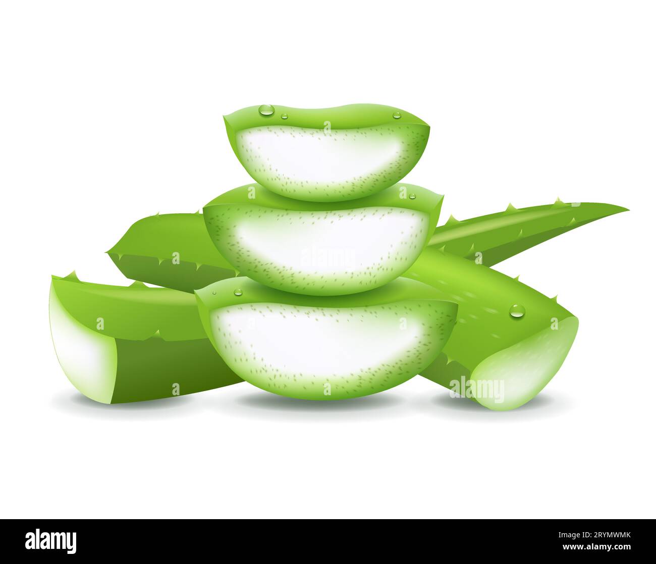 Sliced aloe vera leaf Stock Vector Images - Alamy