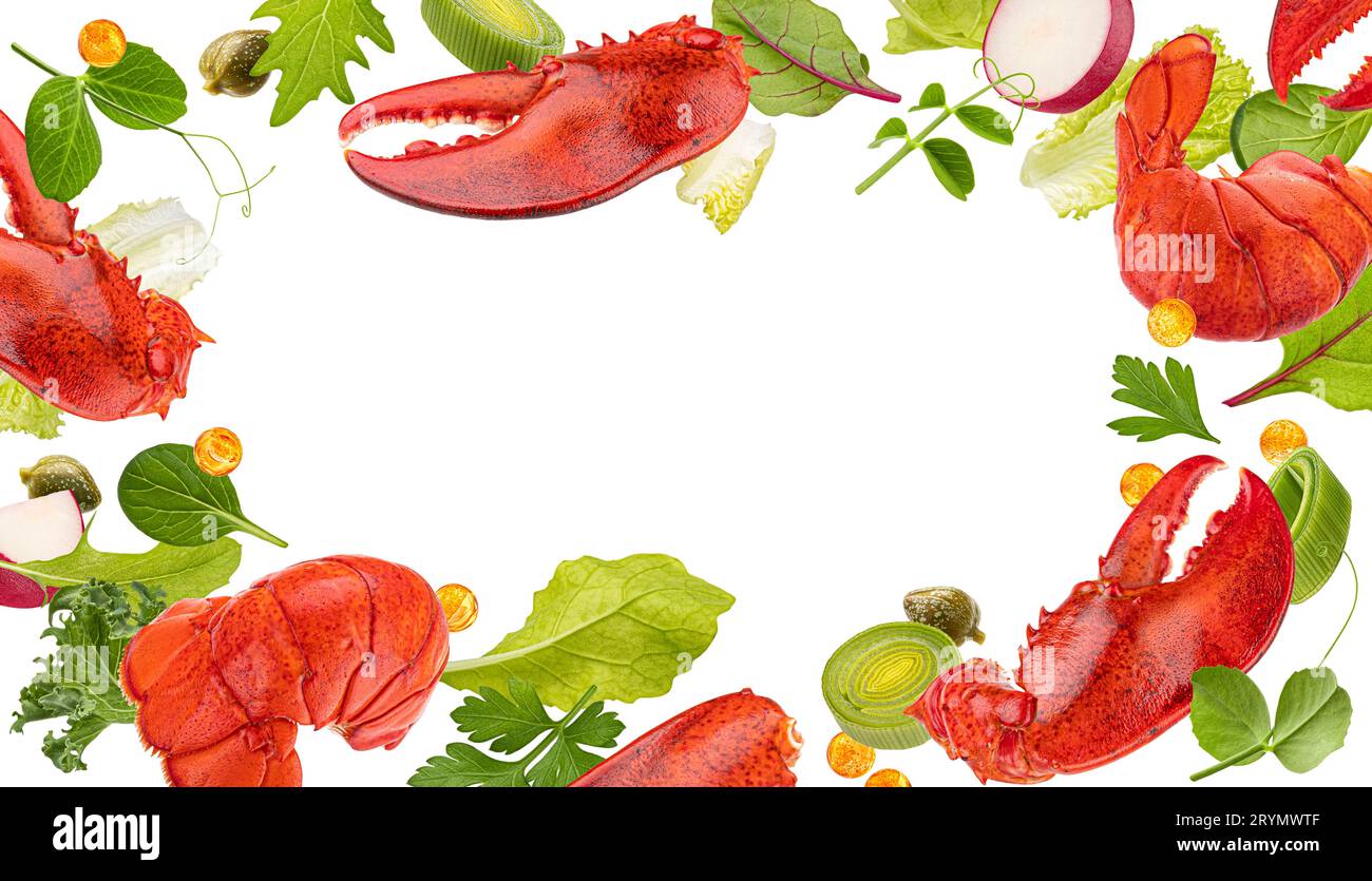 Seafood frame, lobster claws and tails isolated on white background ...