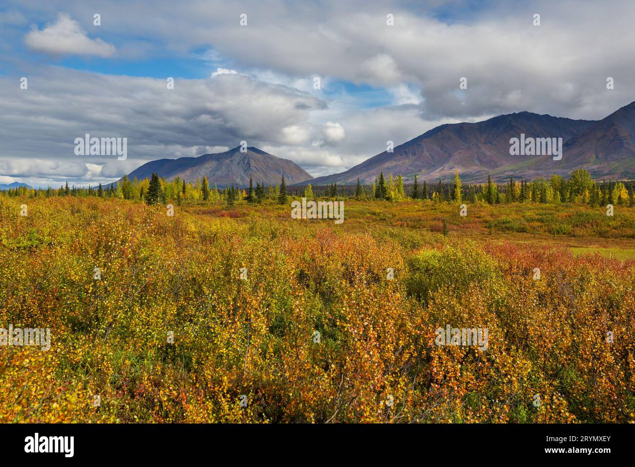 Autumn in Alaska Stock Photo - Alamy