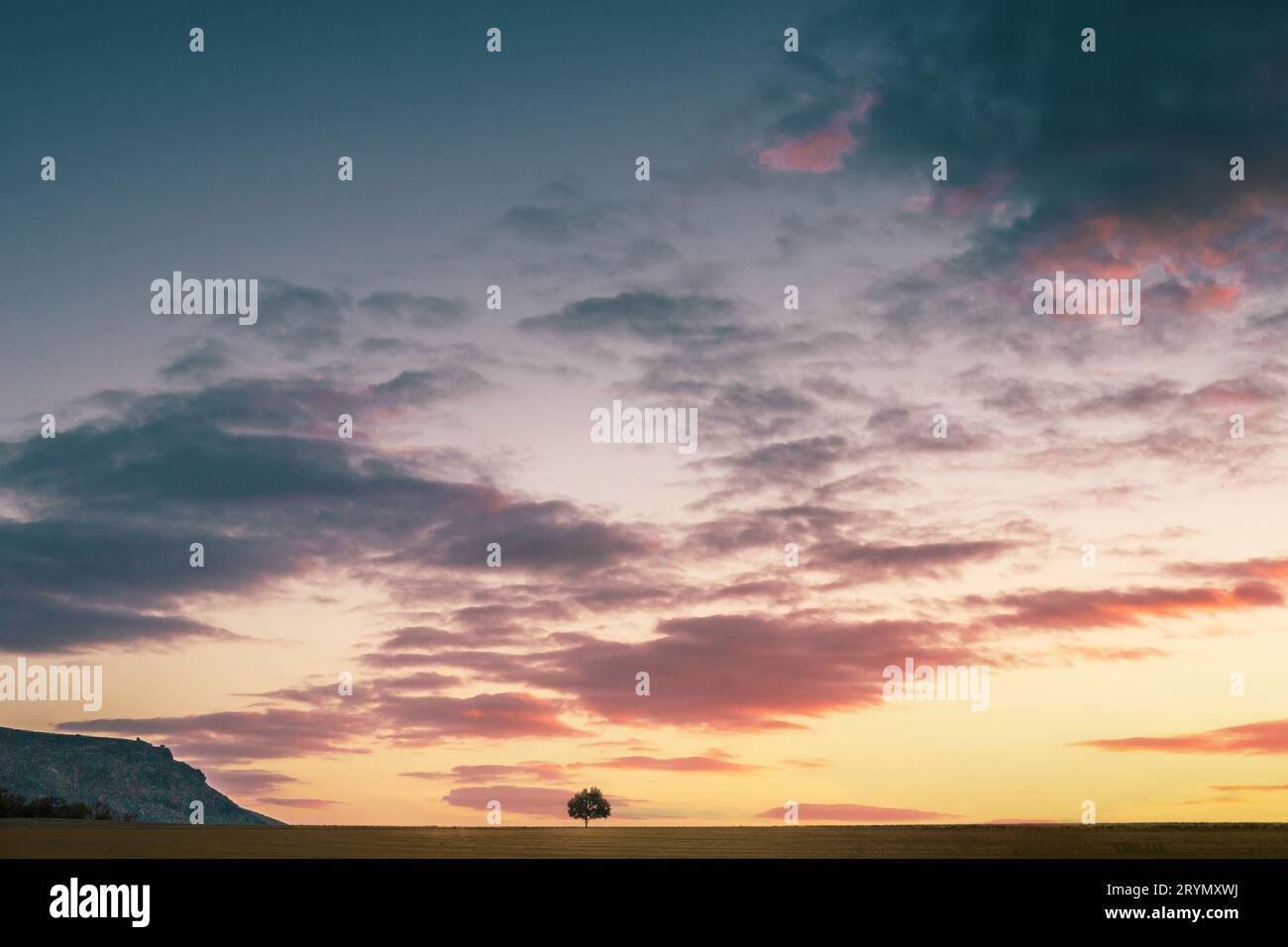 Bla hend baum hi-res stock photography and images - Alamy