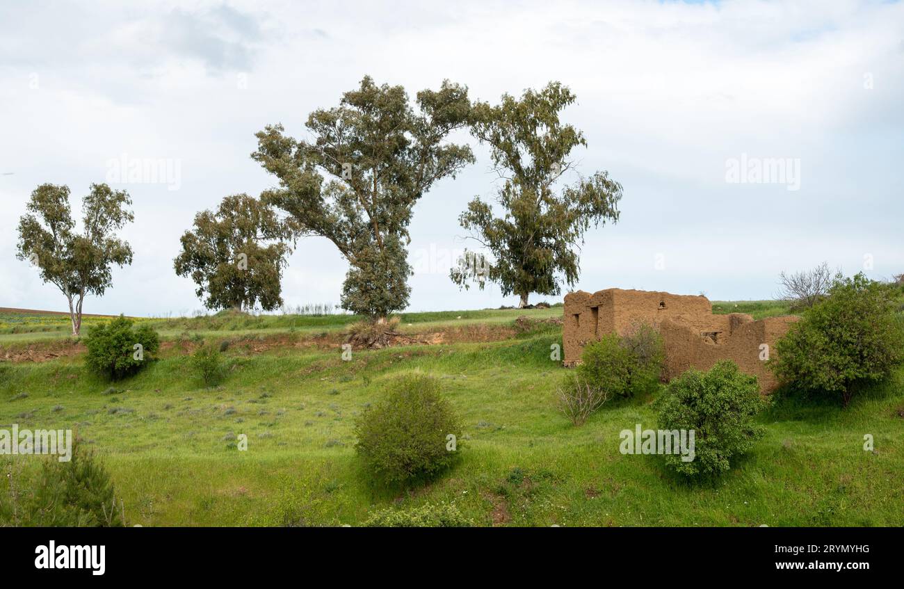 Abandoned pastures hi-res stock photography and images - Alamy