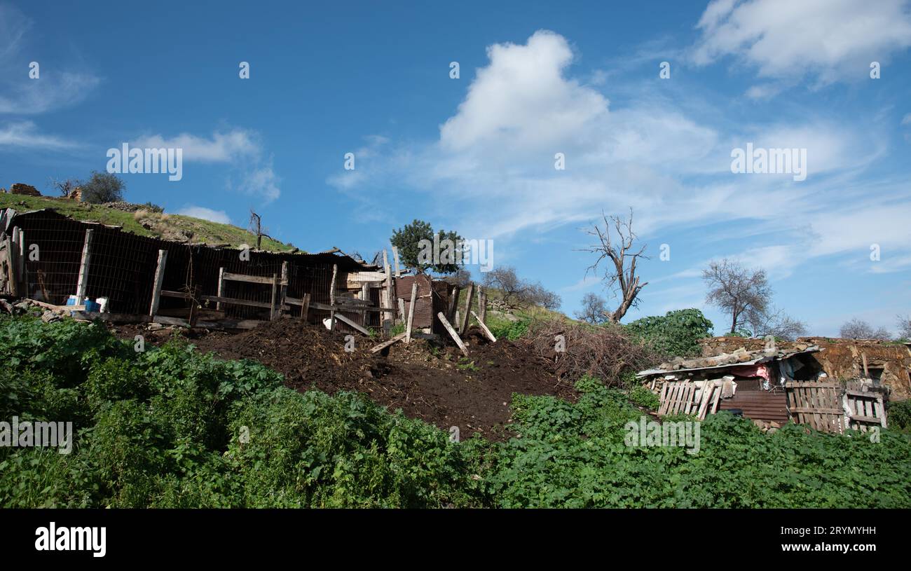 Abandoned and collapsing animal farm building in the field. Deserted ...