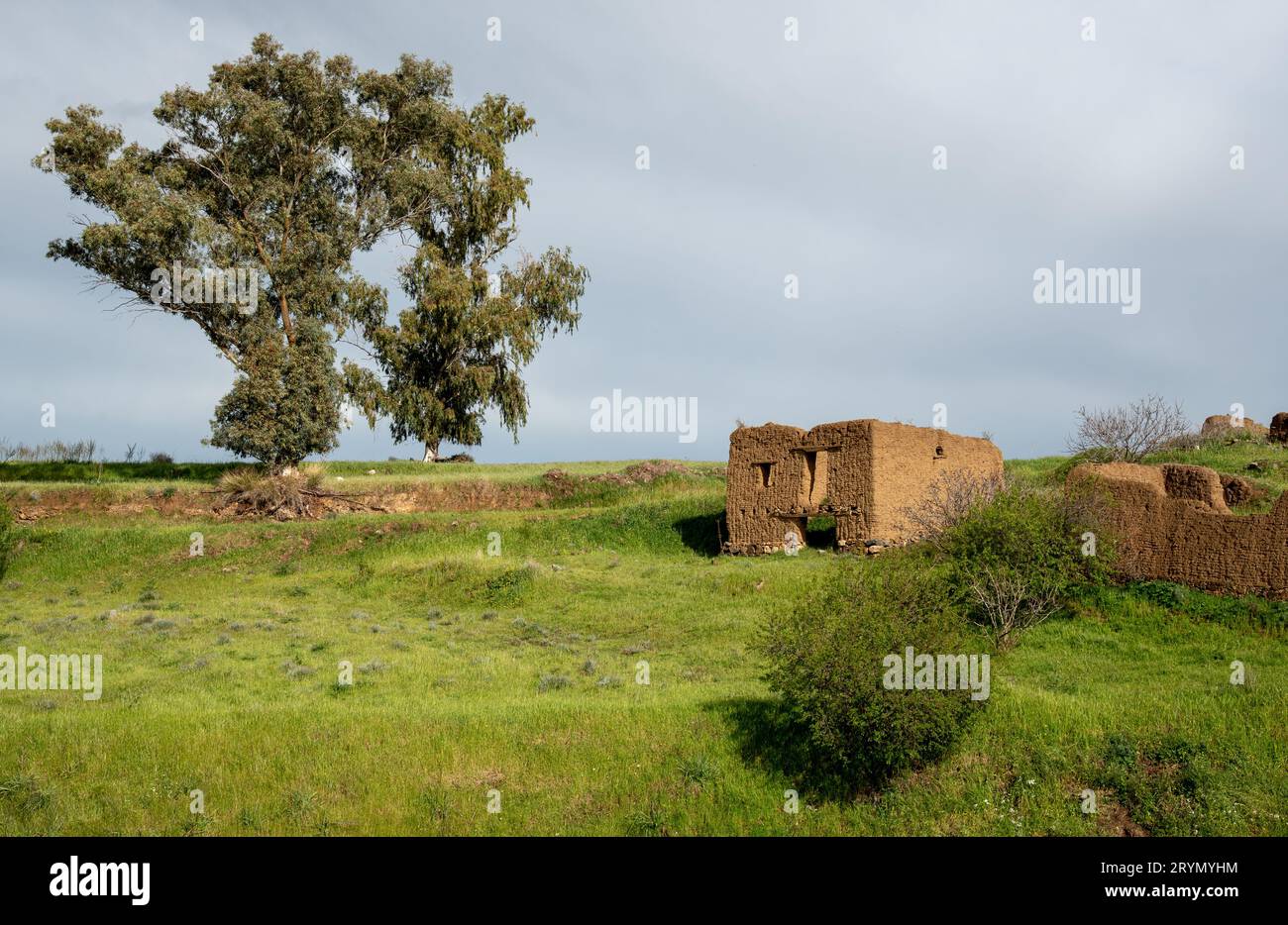 Abandoned pastures hi-res stock photography and images - Alamy
