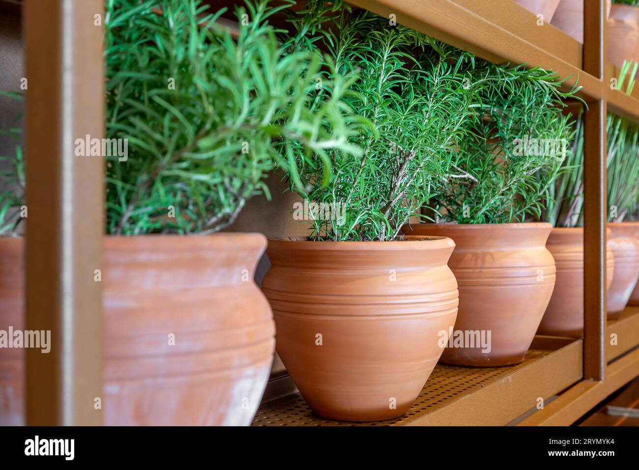 Clay cooking pots hi-res stock photography and images - Alamy
