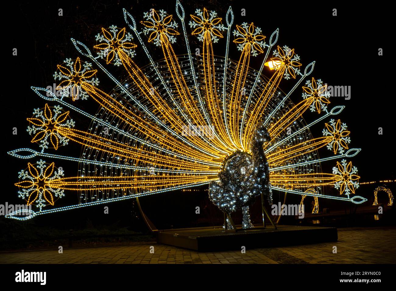 Peacock Holiday illuminated decorations in Oliva Park Gdansk Poland ...