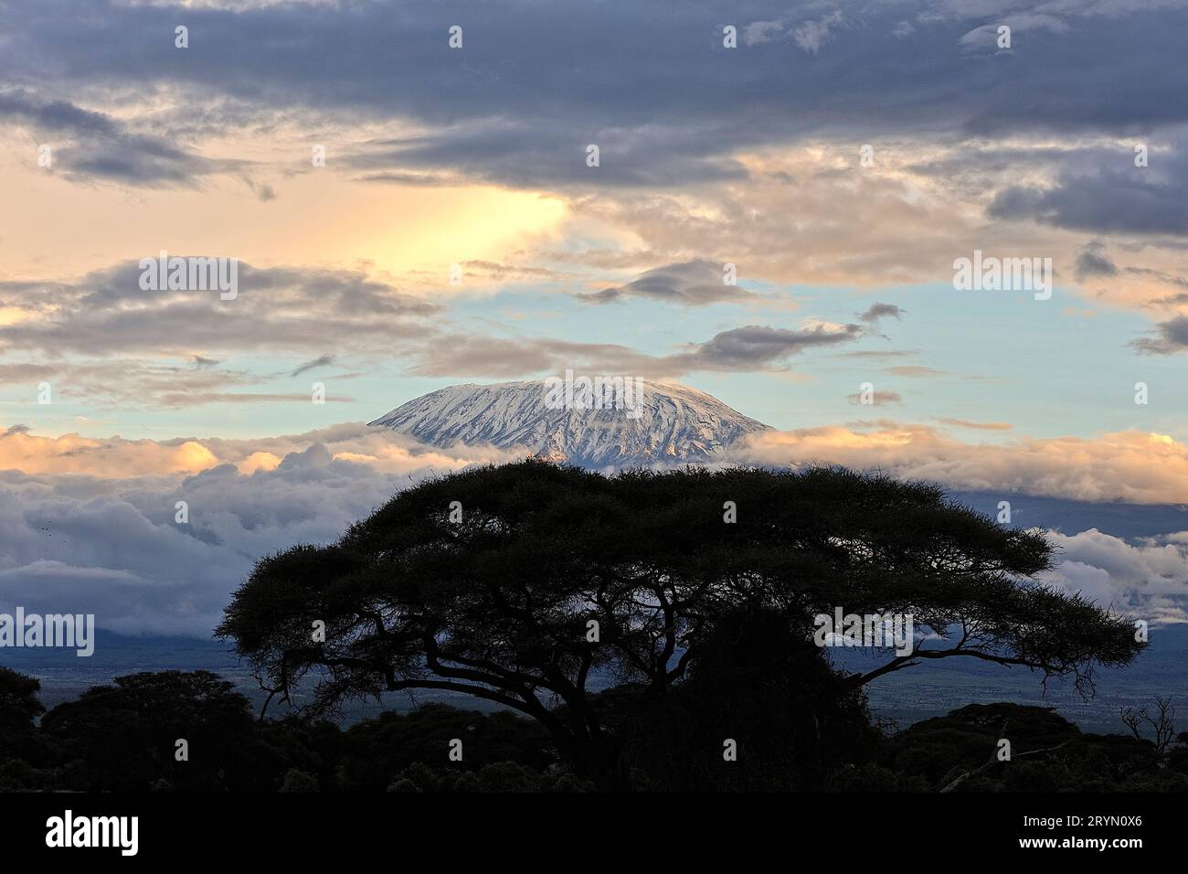 A picture of the african landscape Stock Photo - Alamy