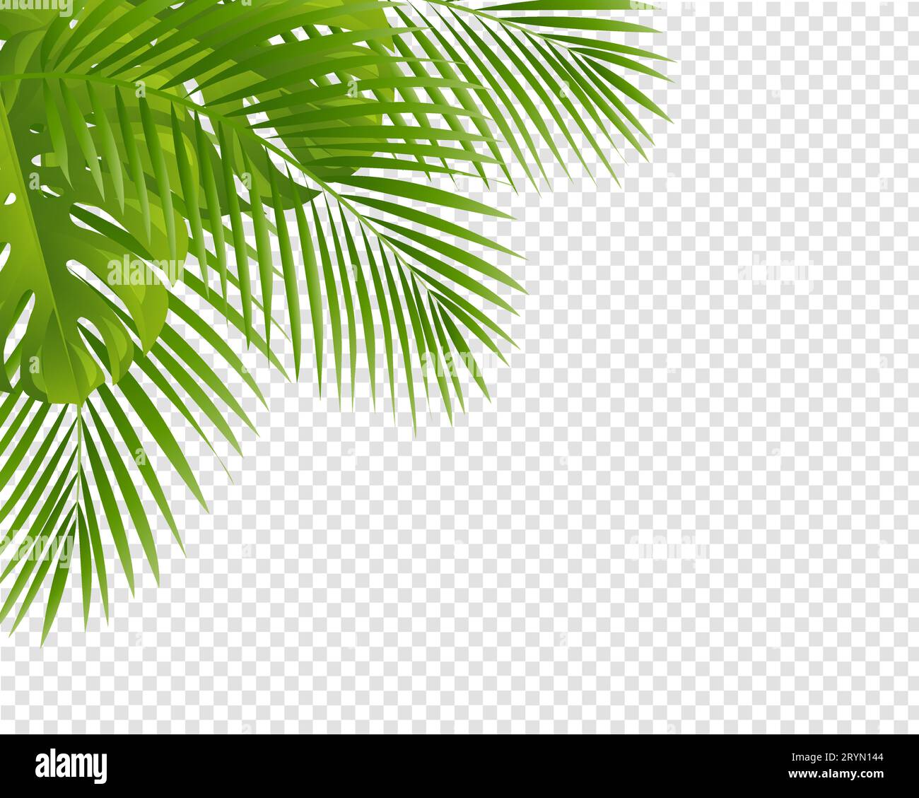 Tree stem macro Stock Vector Images - Alamy