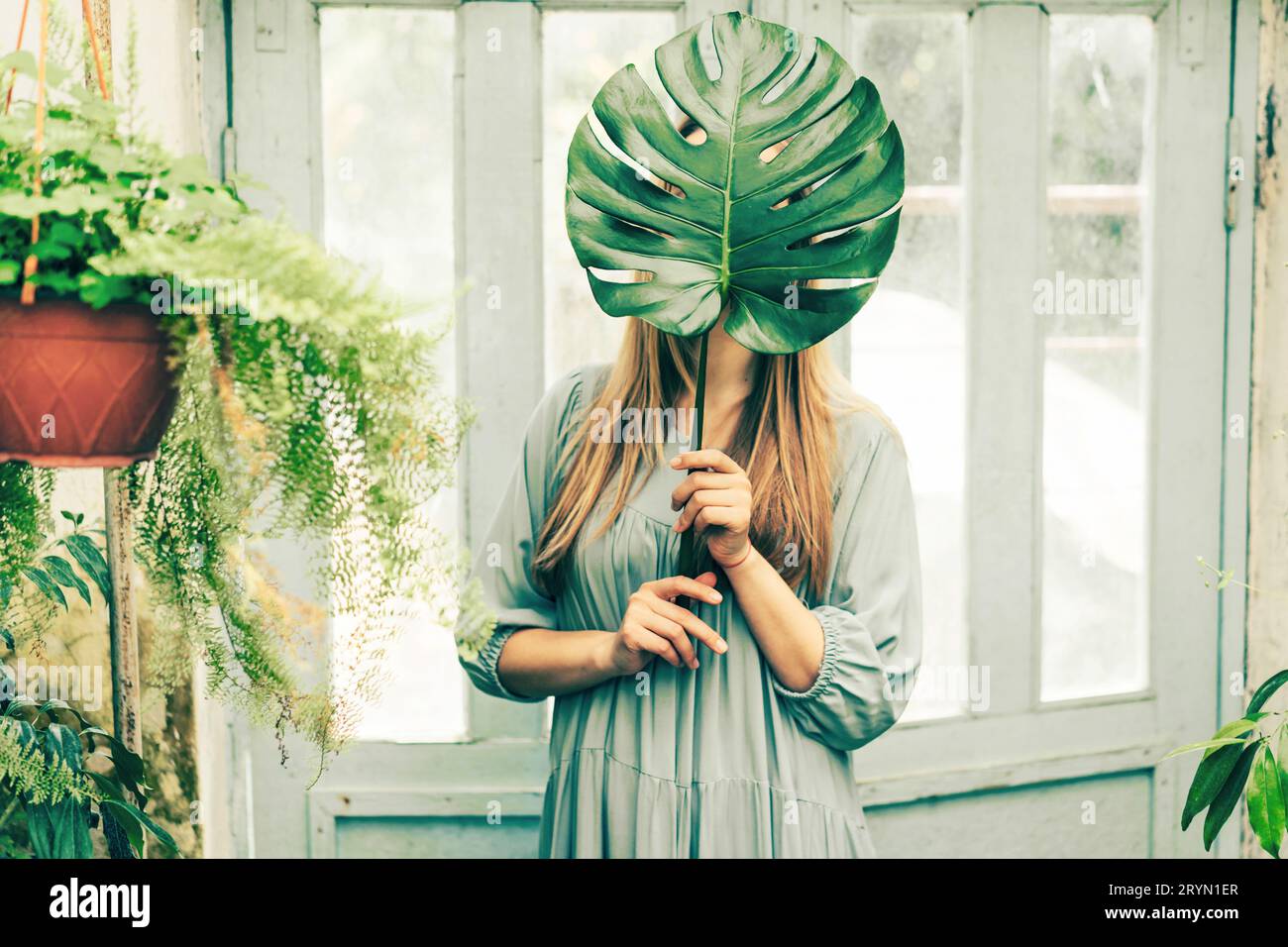 Woman hides face behind hi-res stock photography and images - Alamy