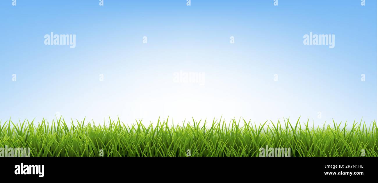 Lawn sky backdrop Stock Vector Images - Alamy
