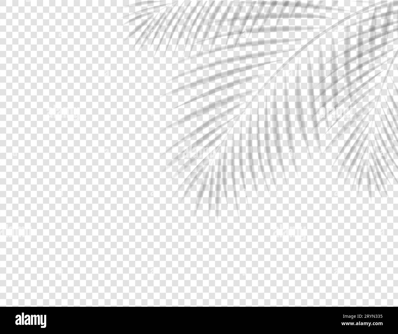 Banner De Vetor Tropical Gratis