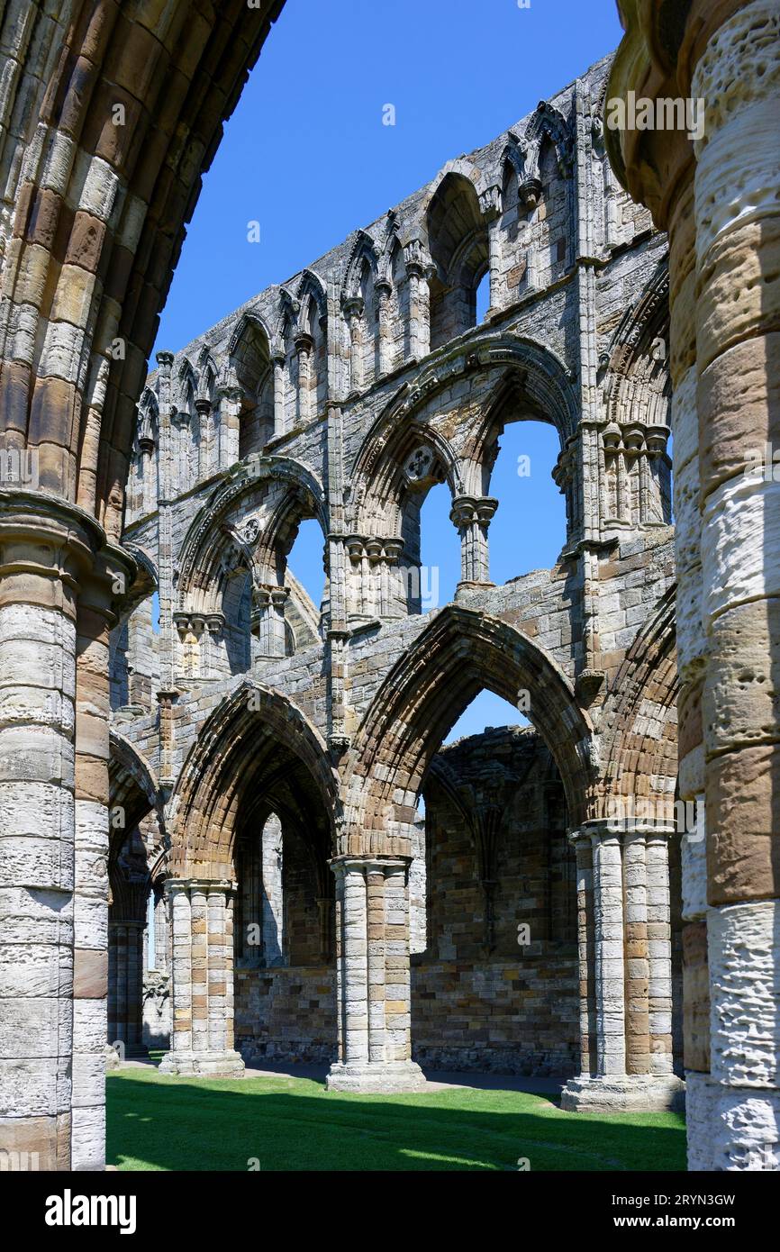 Whitby Abbey, Whitby, England, Great Britain Stock Photo - Alamy