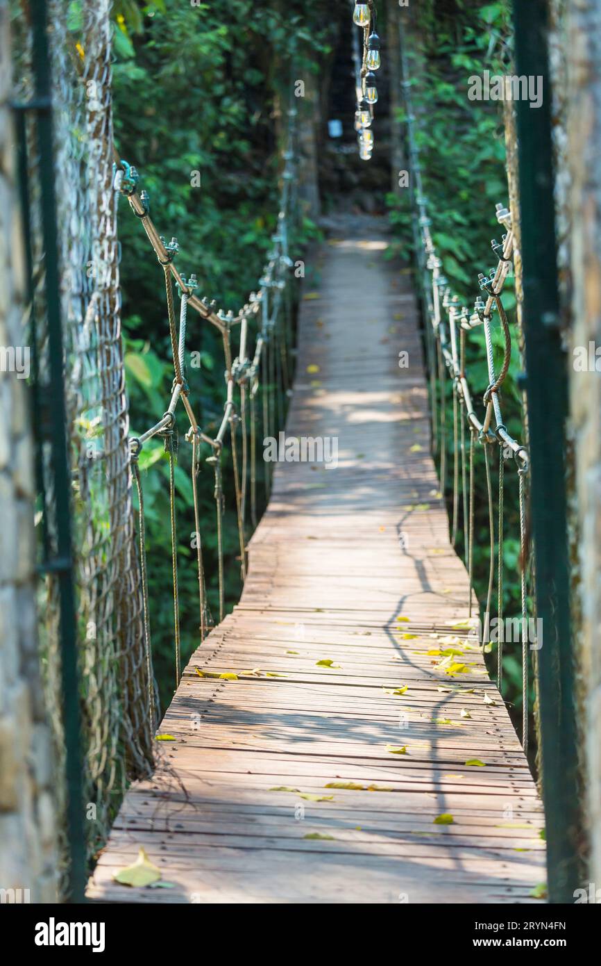 Bridge in jungle Stock Photo - Alamy