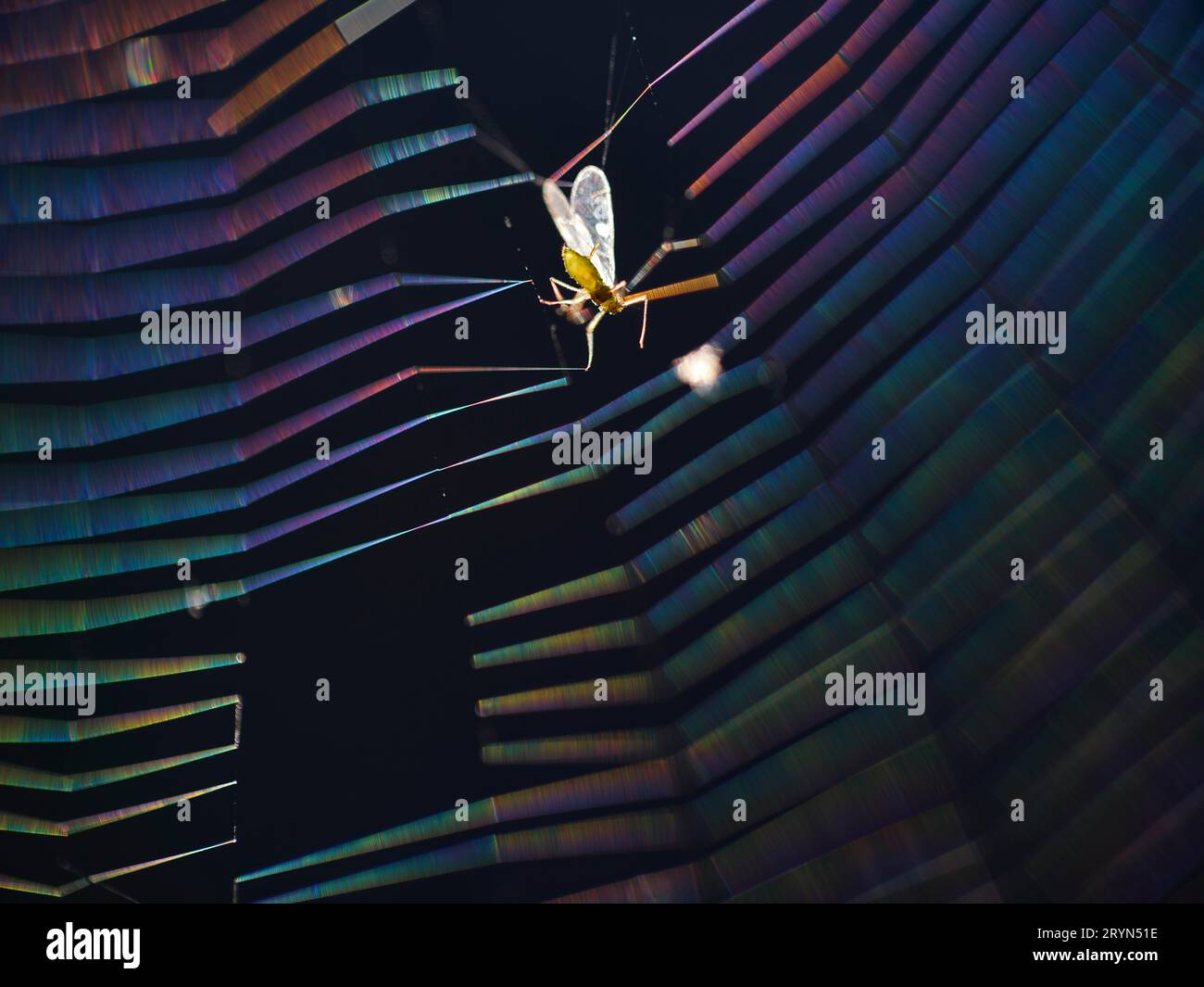 Coloured backlight hi-res stock photography and images - Alamy