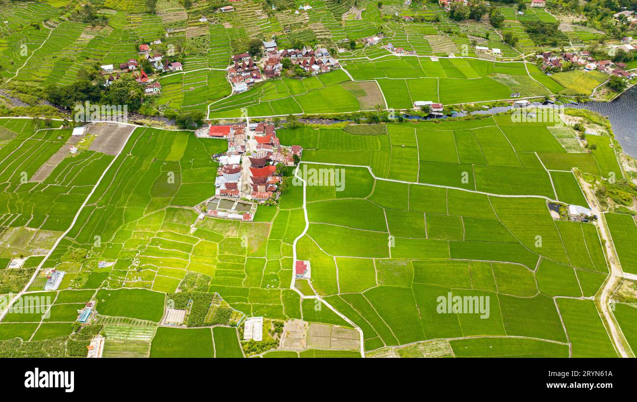 Farmland with planting vegetables. Agricultural landscape in Sumatra ...