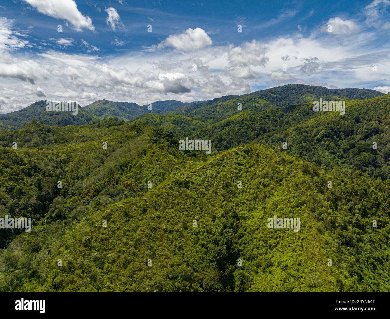 Aerial view of mountains covered rainforest, trees and blue sky with ...