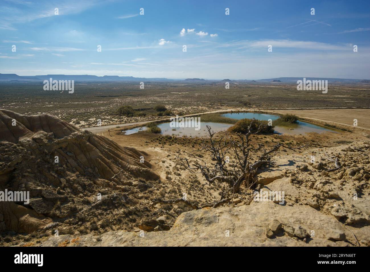Desert landscape of the arid plateau of the Bardenas Reales with small ...