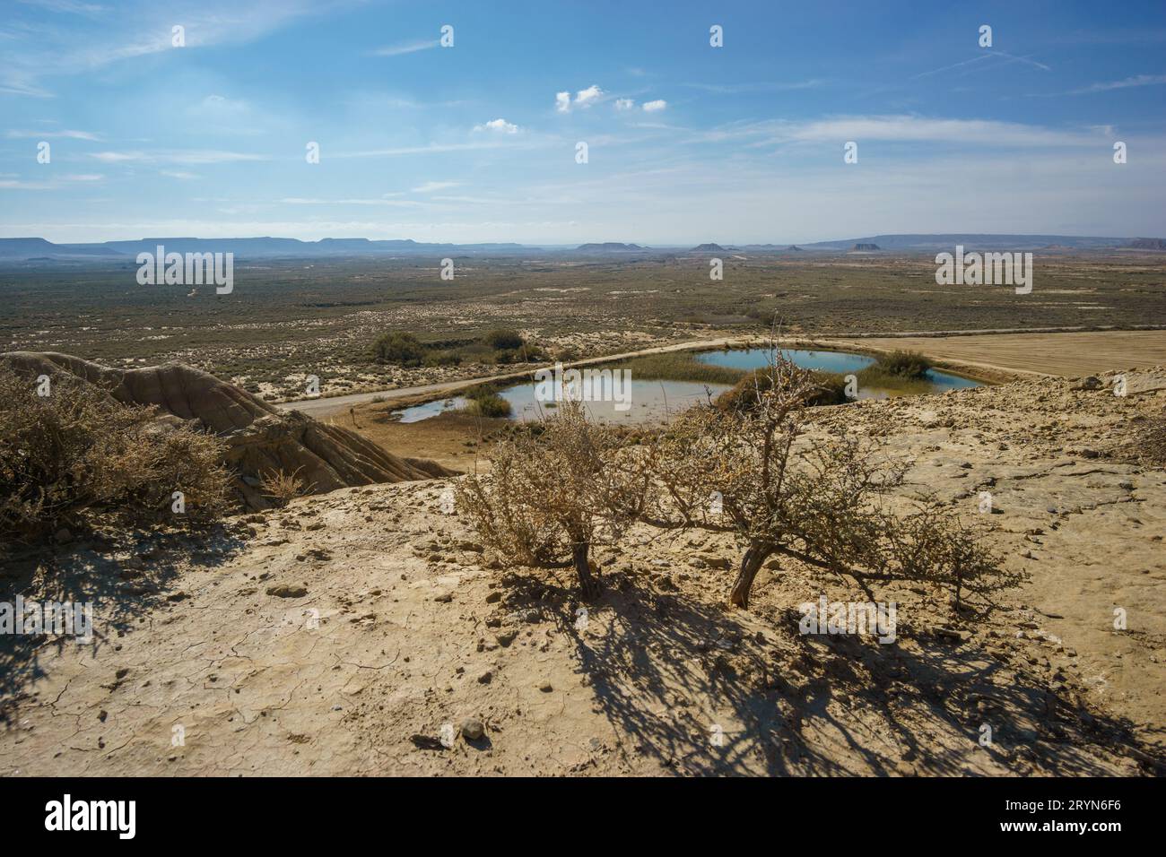 Desert landscape of the arid plateau of the Bardenas Reales with small ...