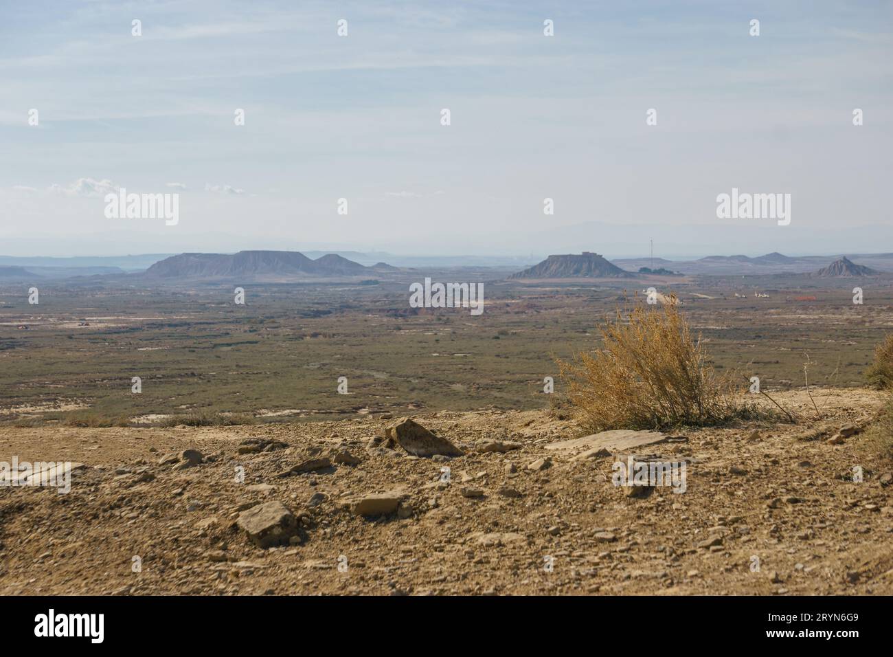 Dry bush at desert landscape of the arid plateau of the Bardenas Reales ...